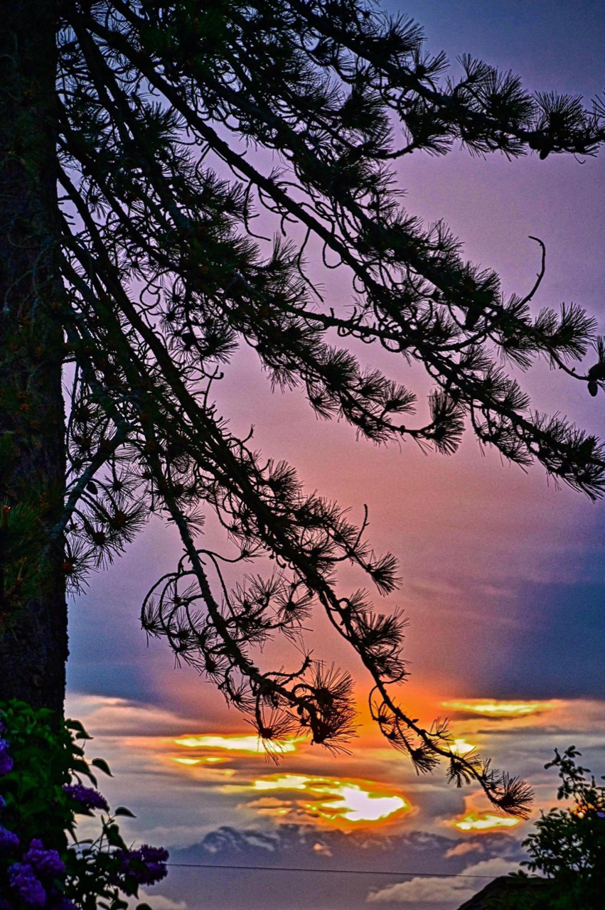 Sunset of the week 5-18-20 | Westside Seattle